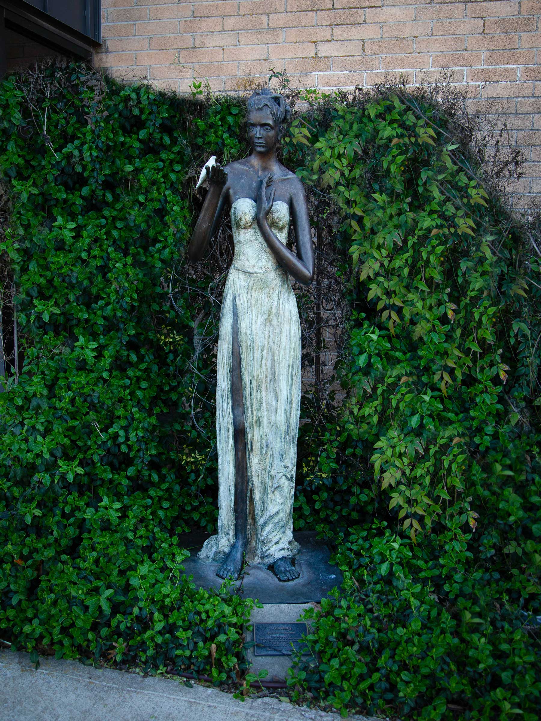 Destiny – Art Edmond