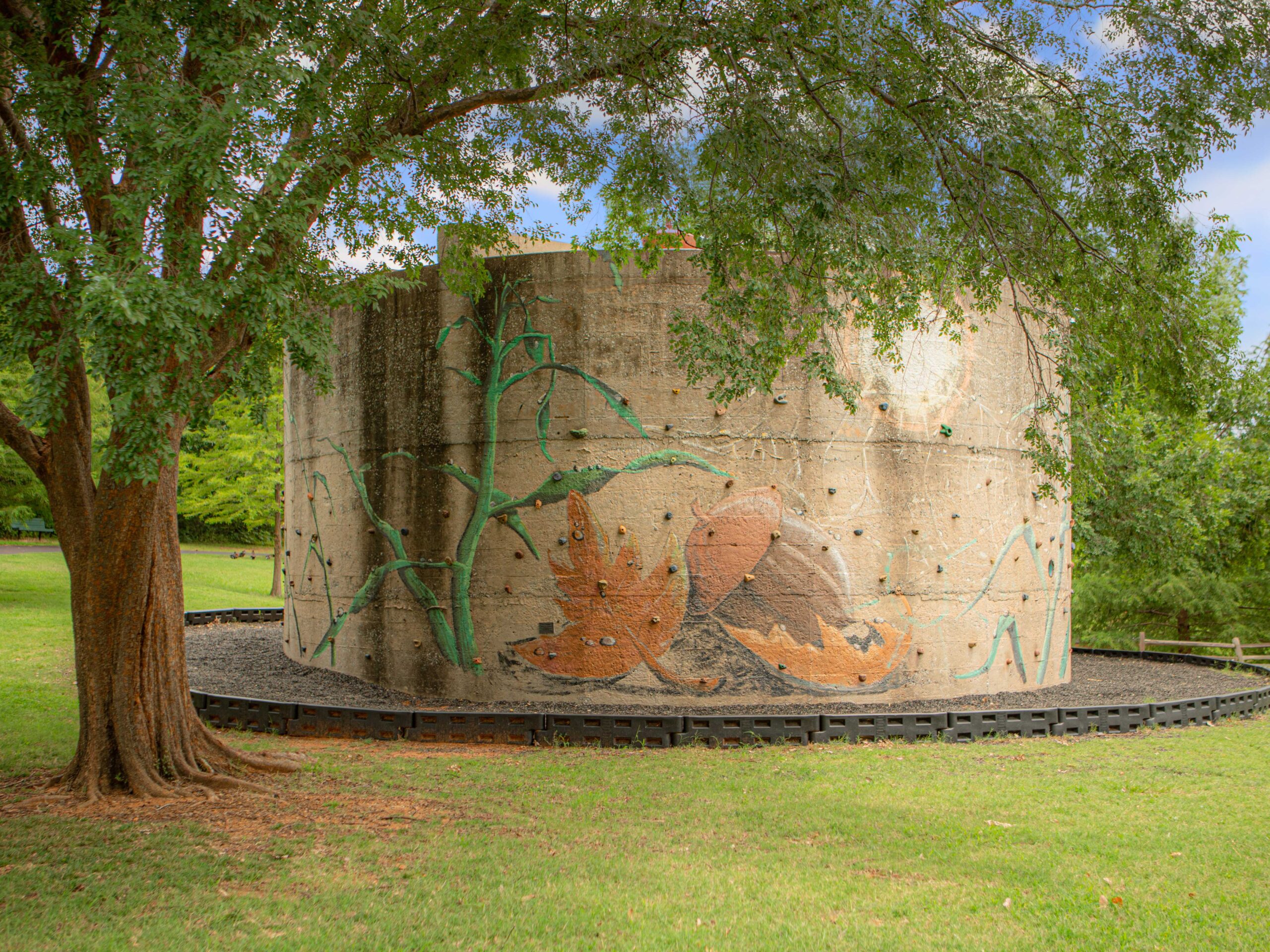 The Web – Art Edmond